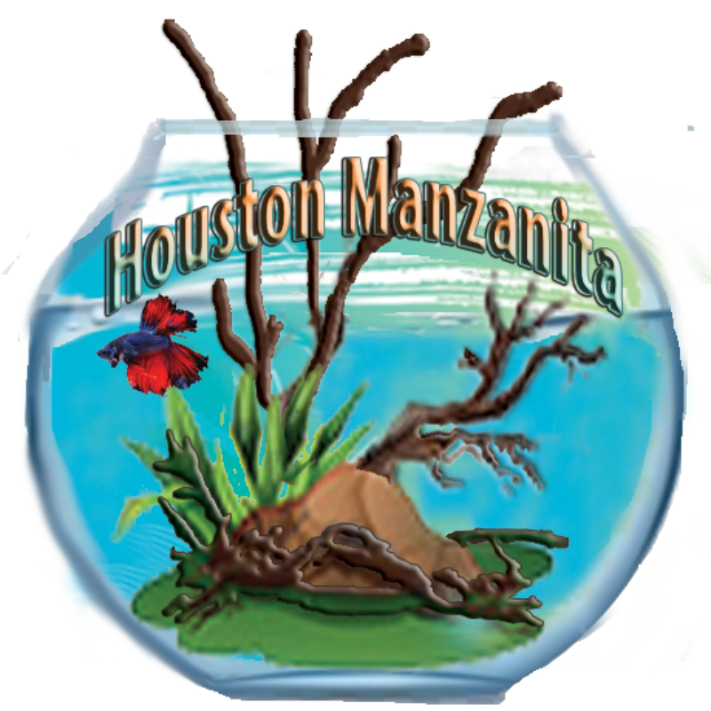 Dezign2the9z – "Hats off to you Interlopers! Wrapped in au courant ...